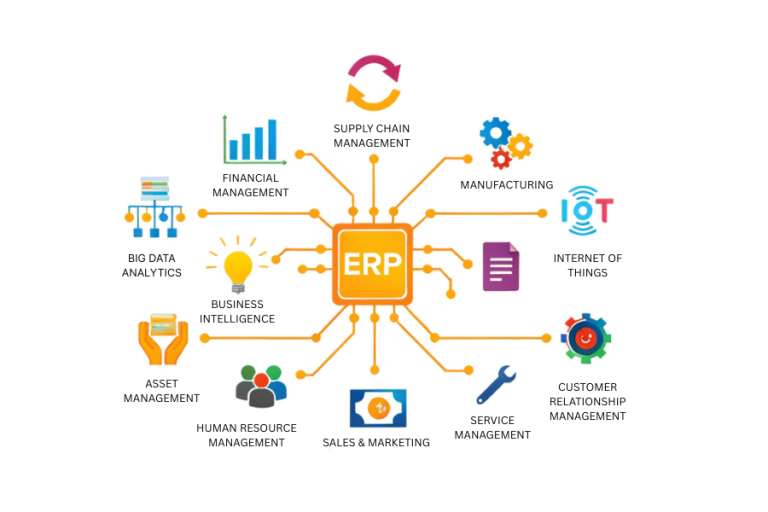 Building Excellence in ERP Master Data Management